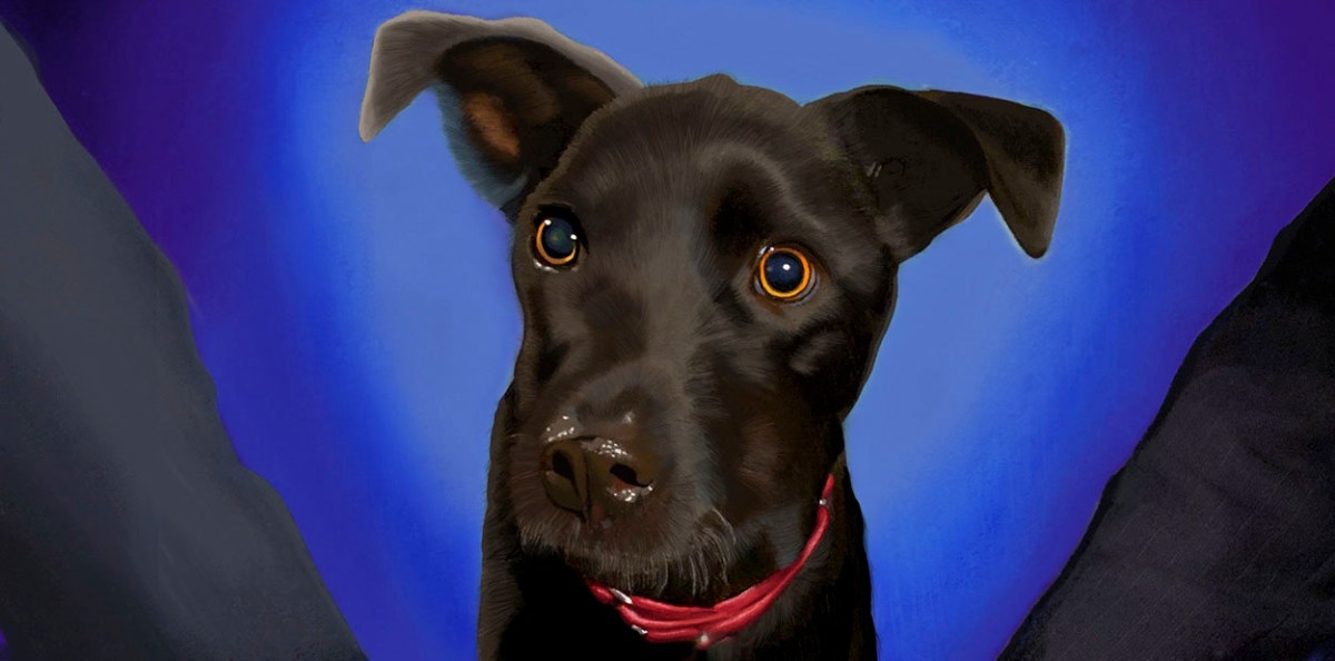 The Shadow Diaries – Alina Oswald